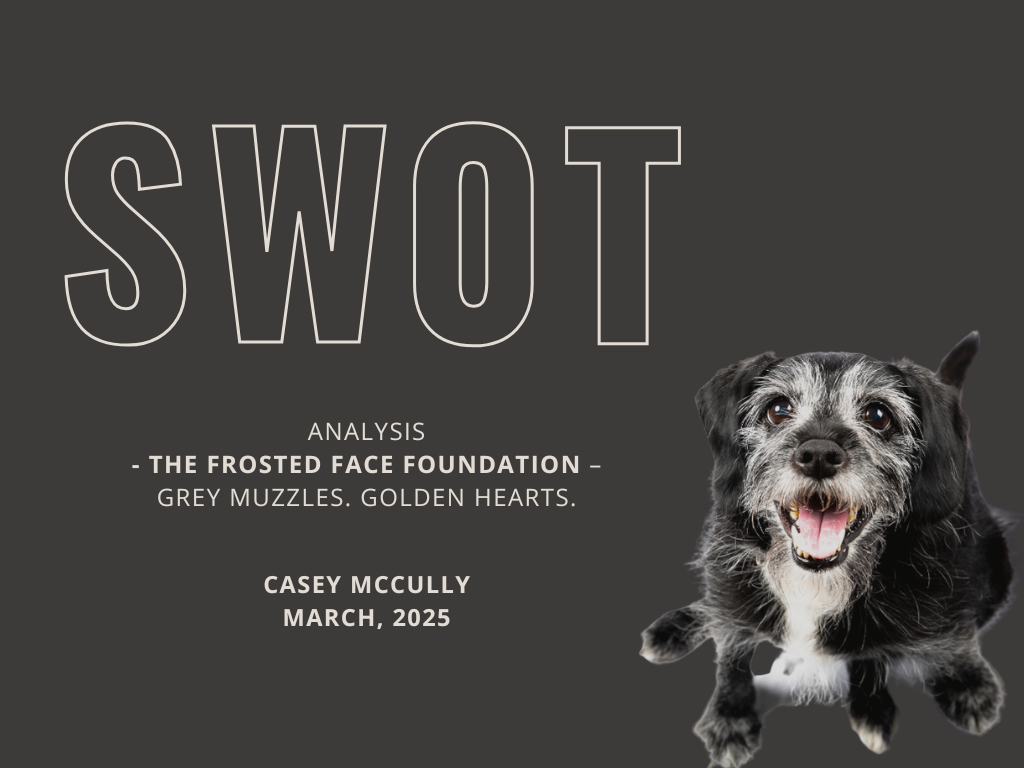Imagining a Sanctuary for Senior Dogs: The SWOT Behind Frosted Face ...